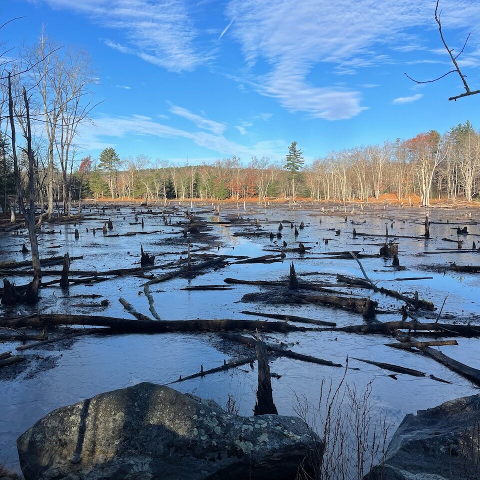Gumpus Pond Conservation Area - Outdoor Odyssey